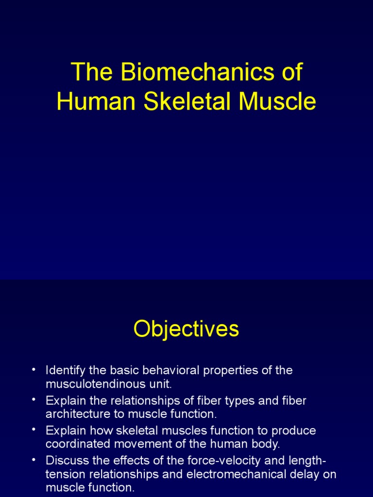 Biomechanic of Muscle | PDF | Skeletal Muscle | Muscle Contraction
