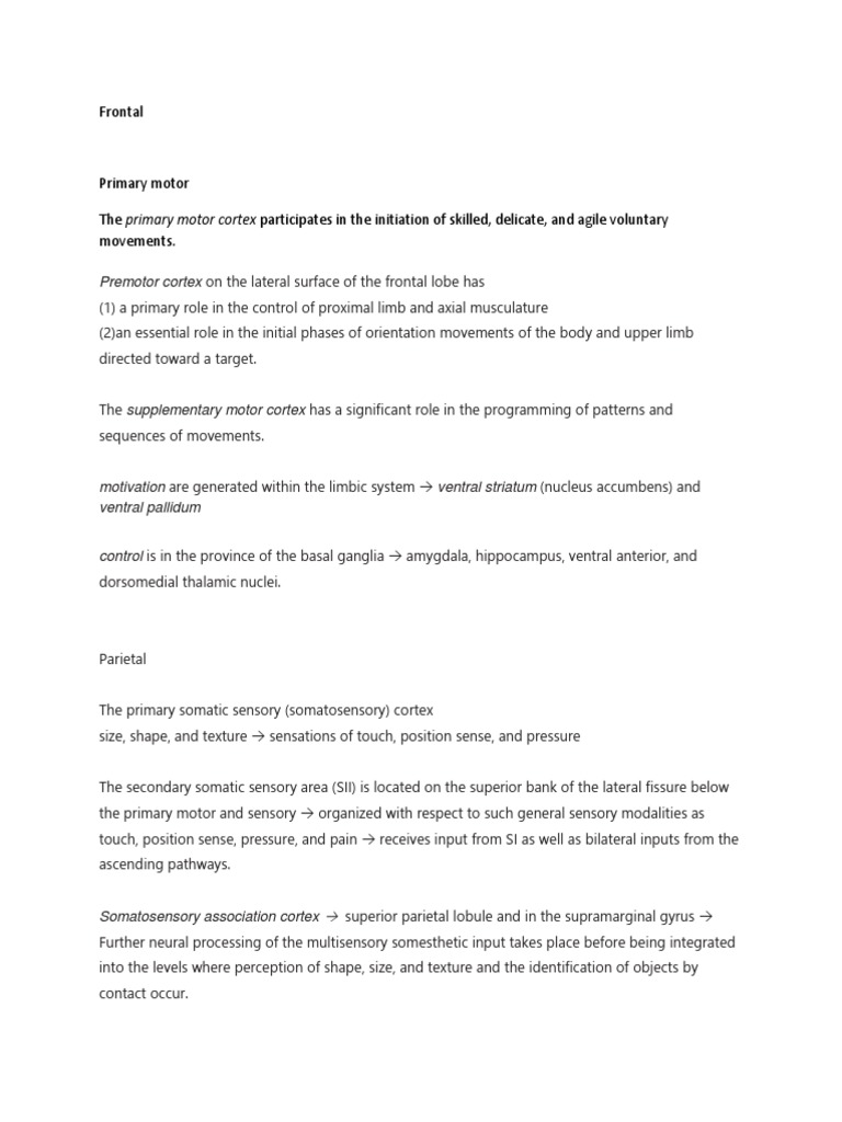 Brain Concise Functions | PDF