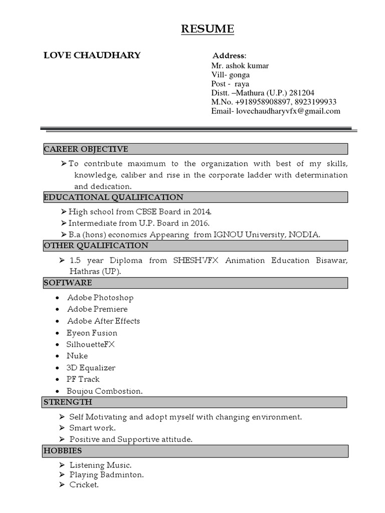 Love Resume | PDF