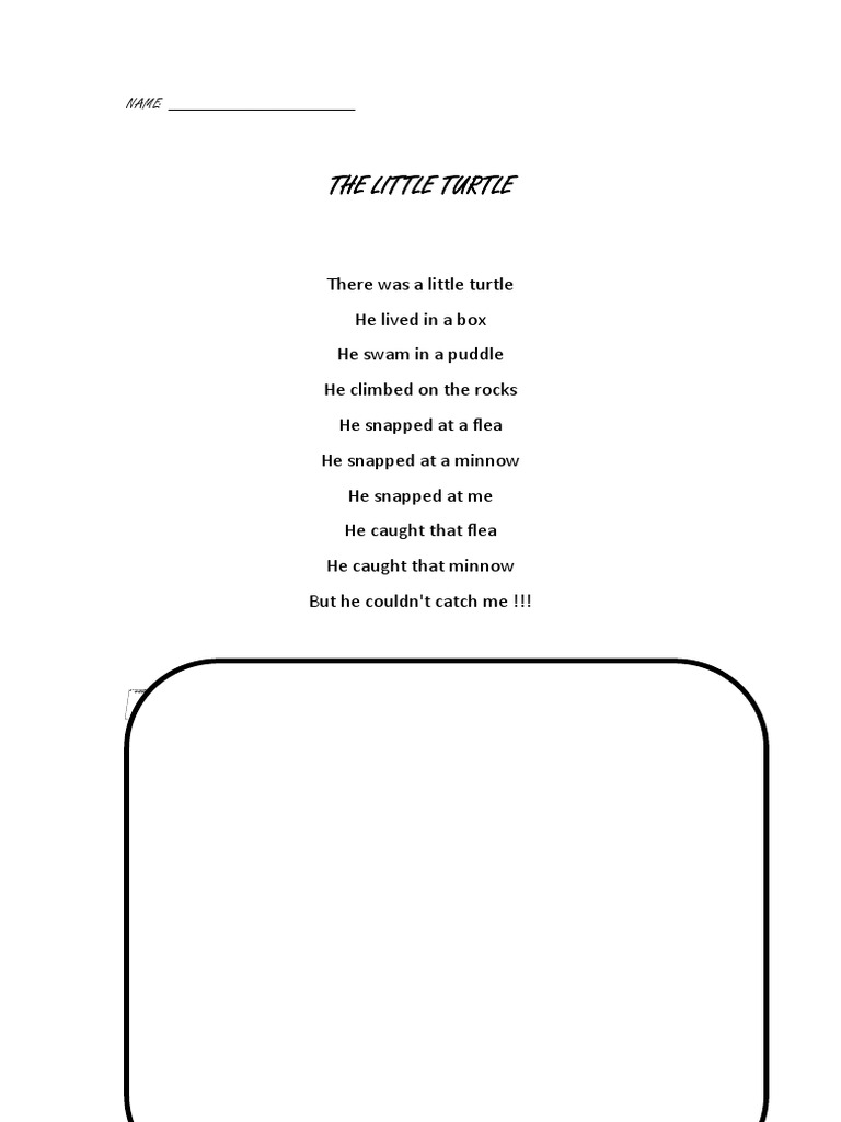 The Little Turtle Poem | PDF