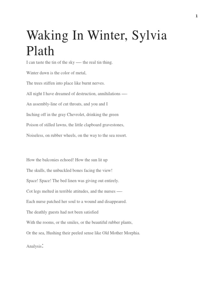 Waking in Winter, Sylvia Plath | PDF