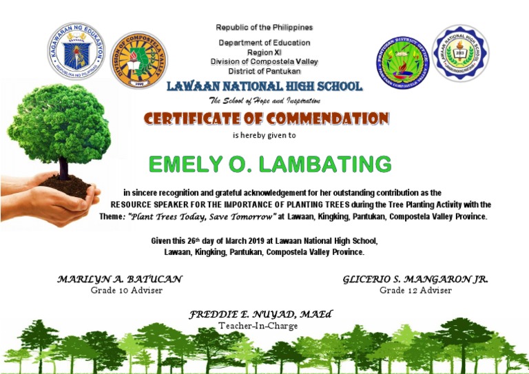 Tree Planting Commendation | PDF | Schools | Plants