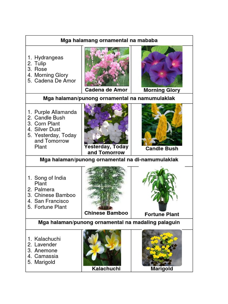 Table of Plants 2 | PDF