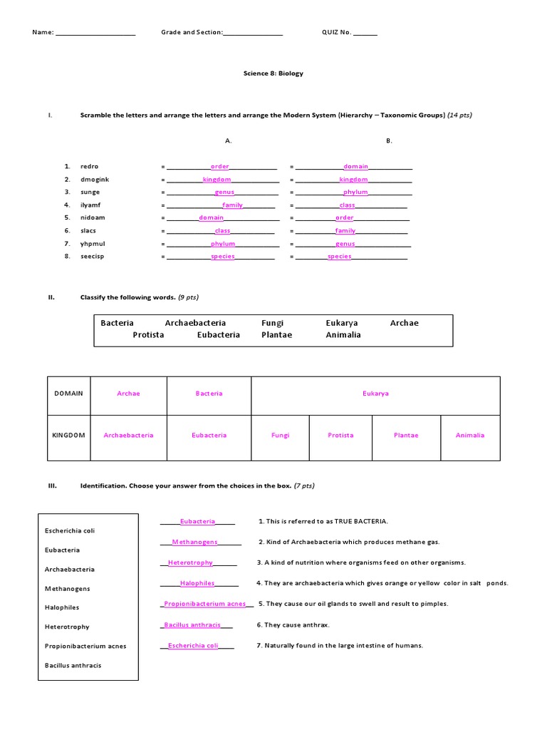 QUIZ 01 (Answer Key) | PDF | Archaea | Bacteria