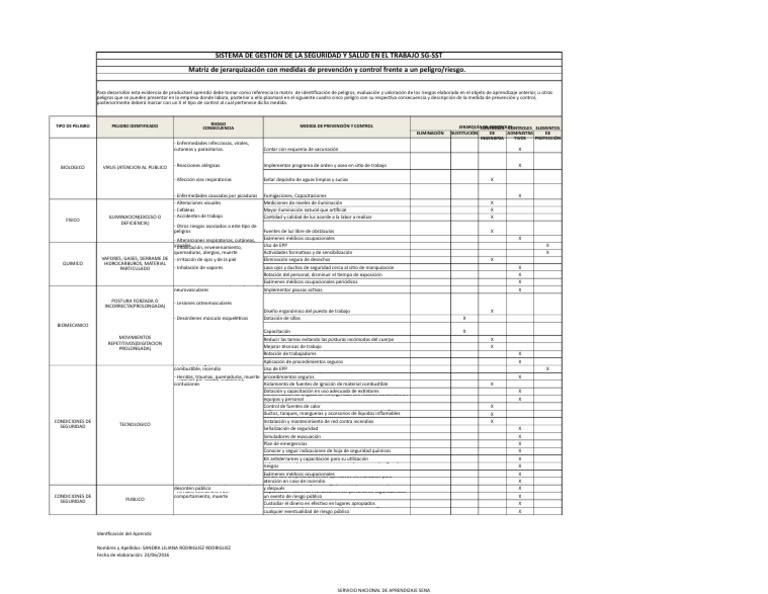 Matriz de Jerarquizacion Con Medidas de Prevencion y Control Frente A Un Peligro Riesgo | PDF ...
