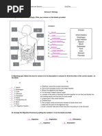 Male and Female Reproductive System Quiz | PDF | Reproductive System ...