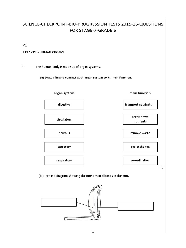 Grade 6 Science Progression Test 2015-16 | PDF | Wasp | Plants