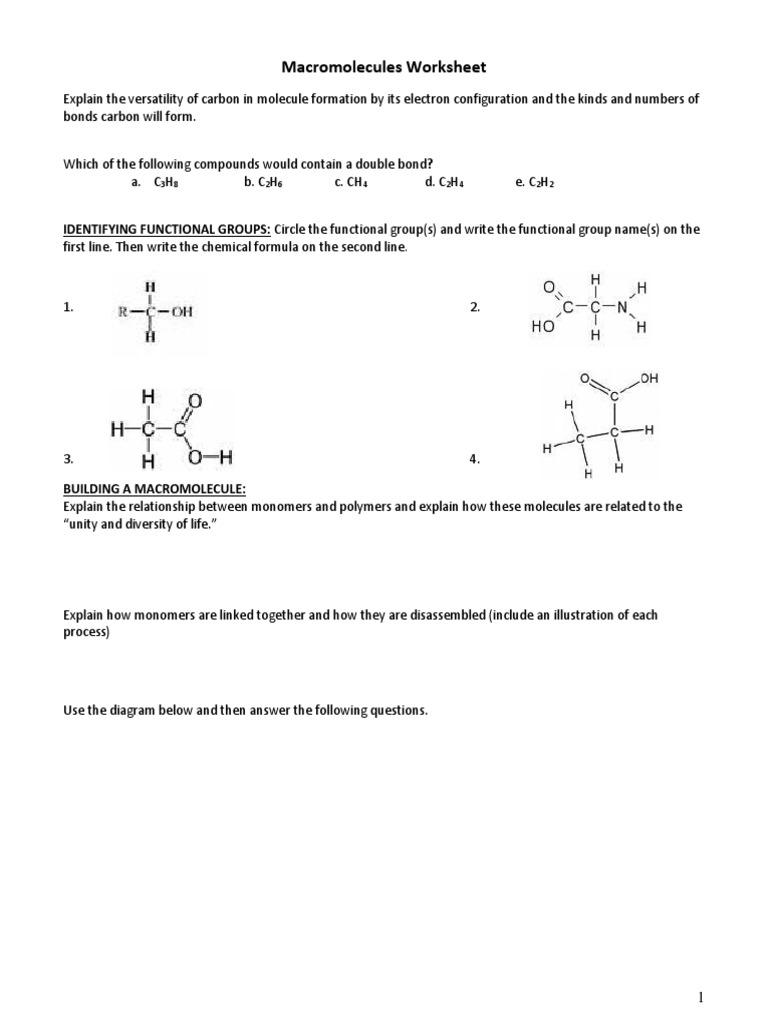Macromolecules Worksheet | PDF | Polysaccharide | Carbohydrates