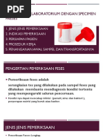 Pemeriksaan Feses Rutin PDF | PDF