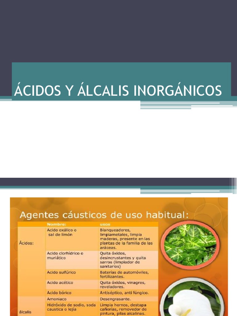Ácidos y Álcalis Inorgánicos | PDF | Ácido clorhídrico | Compuestos ...