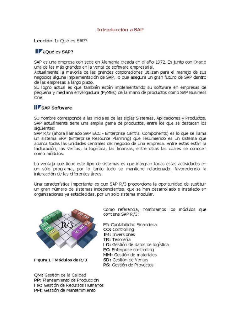 Tutorial SAP PDF | PDF | Sap Se | Sistema operativo