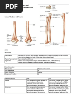 Completed Upper Extremity Rom Norms Sheet 1 | PDF | Anatomical Terms Of Motion | Joints