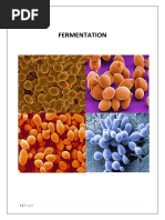 To Compare Rate of Fermentation of Given Sample of Wheat Flour, Gram ...