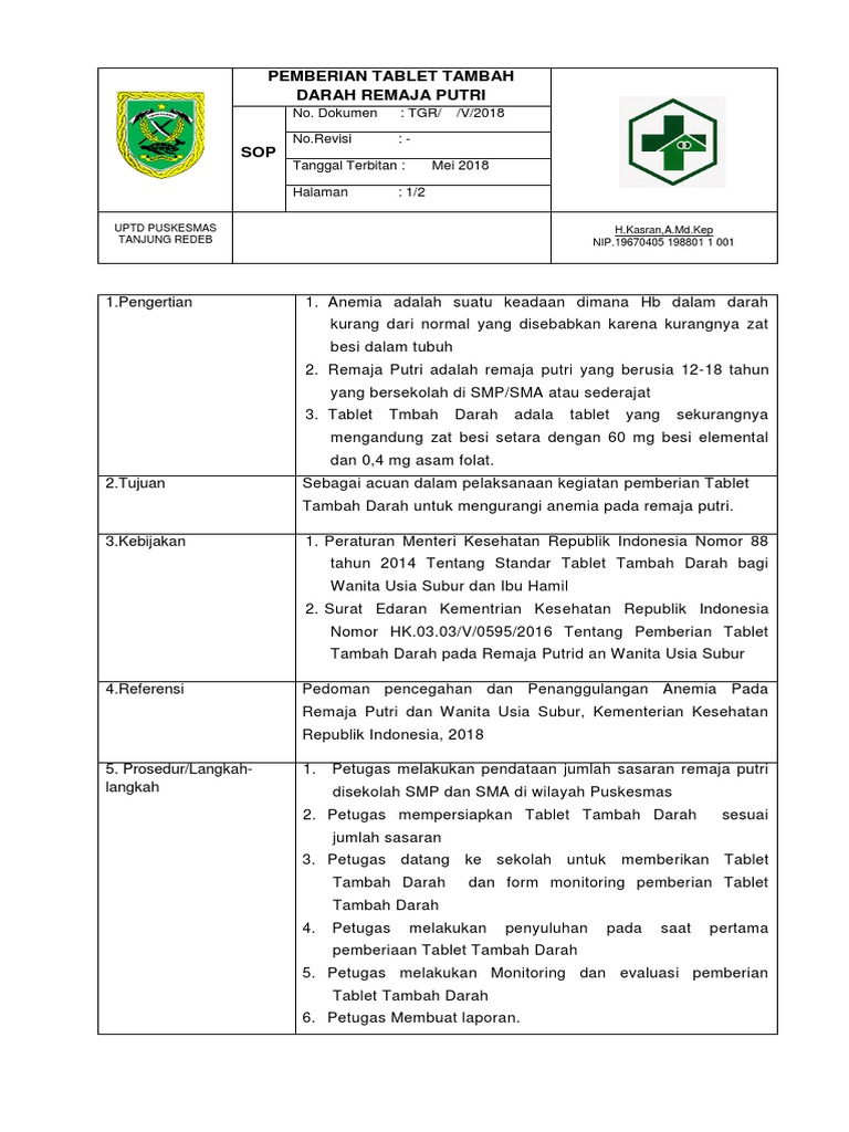 Pemberian TTD untuk Remaja Putri | PDF