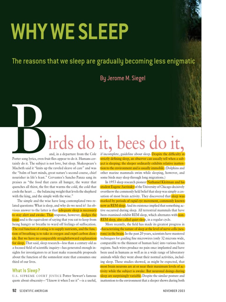 Why We Sleep | PDF | Rapid Eye Movement Sleep | Sleep