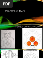 Fundus Drawing Techniques and Guidelines | PDF | Retina | Human Eye