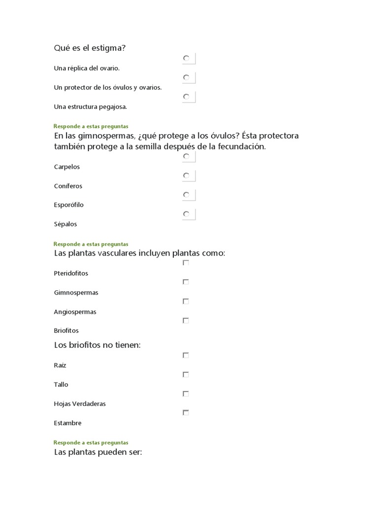 Qué Es El Estigma | PDF | Plantas | Flores