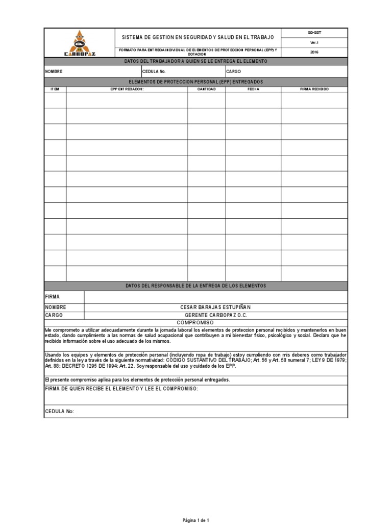 Formato-Para Entrega Individual de Elementos de Proteccion Personal (Epp) | PDF