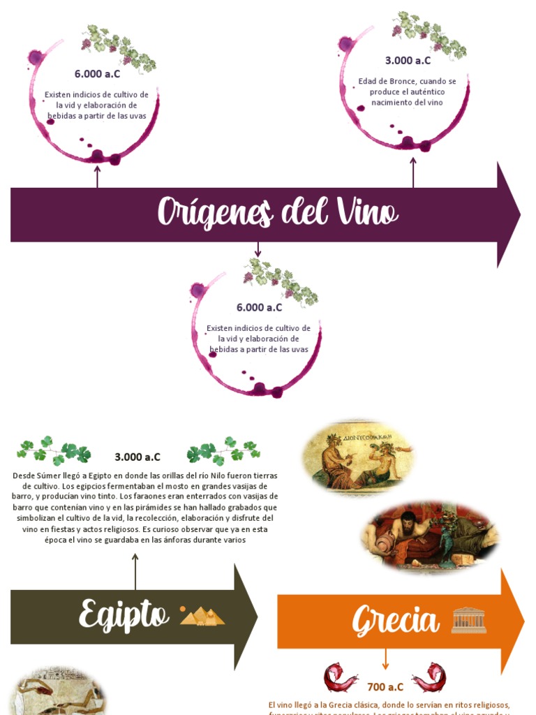 Linea Del Tiempo Del Vino | PDF | Vitis | Vino