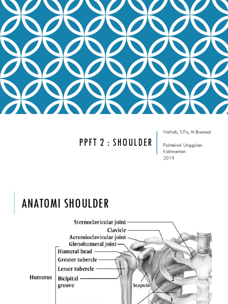 PPFT Regio Shoulder | PDF