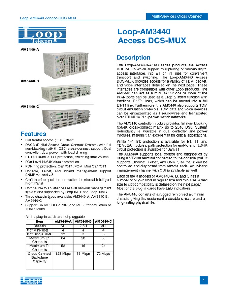 Loop-AM3440 DCS-MUX Multi-Service Cross Connect | PDF | Computer ...