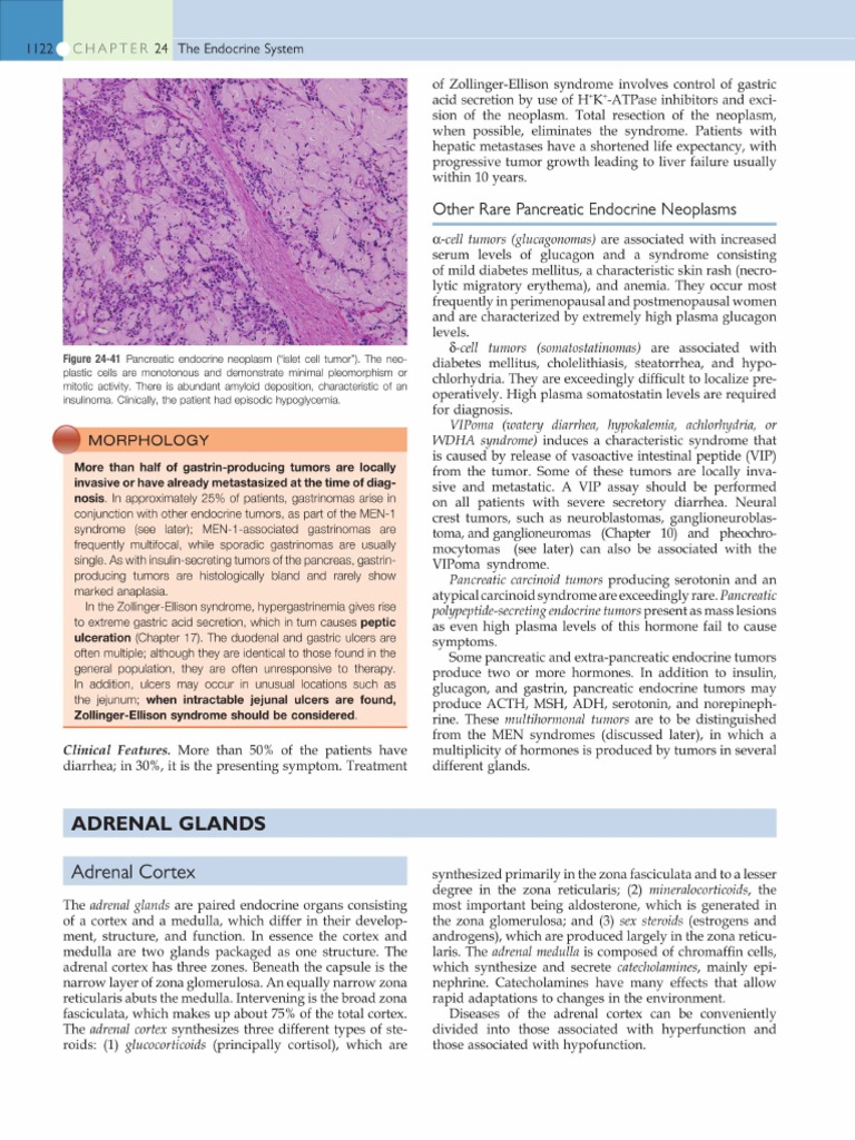 Surrene Robbins | PDF | Adrenal Gland | Adrenocorticotropic Hormone