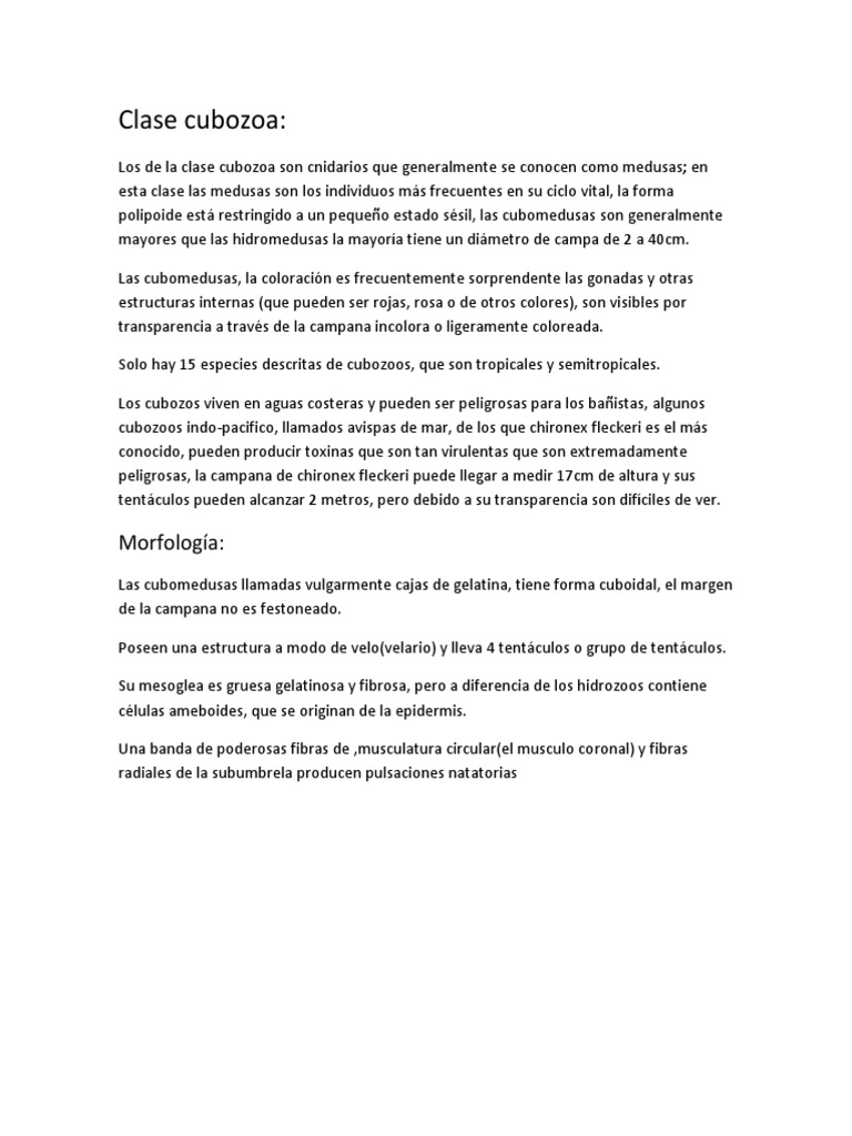 Clase Cubozoa | PDF | Animales venenosos | Animales acuáticos