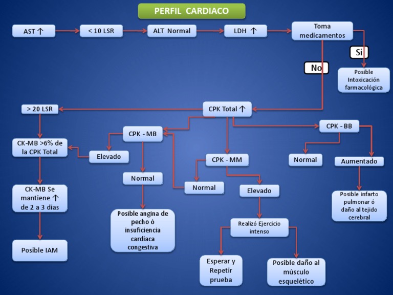 Algoritmo de Perfil Cardiaco | PDF