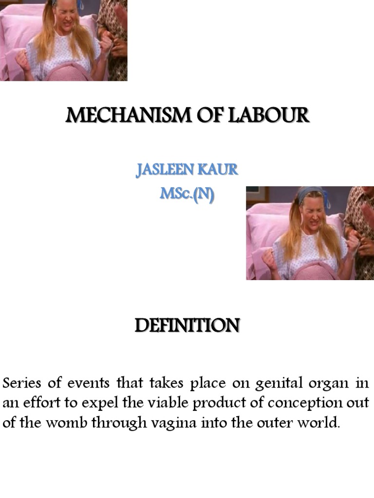 Mechanism of Normal Labour PDF | PDF | Anatomical Terms Of Motion | Pelvis