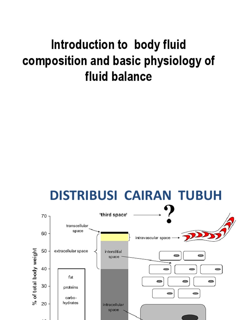 Basic Fluid | PDF | Homeostasis | Animal Anatomy