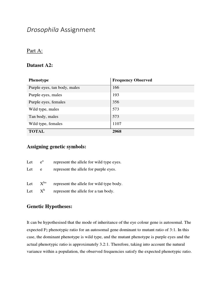 University of Waterloo BIOL 239 Drosophila Report | PDF | Genetic ...