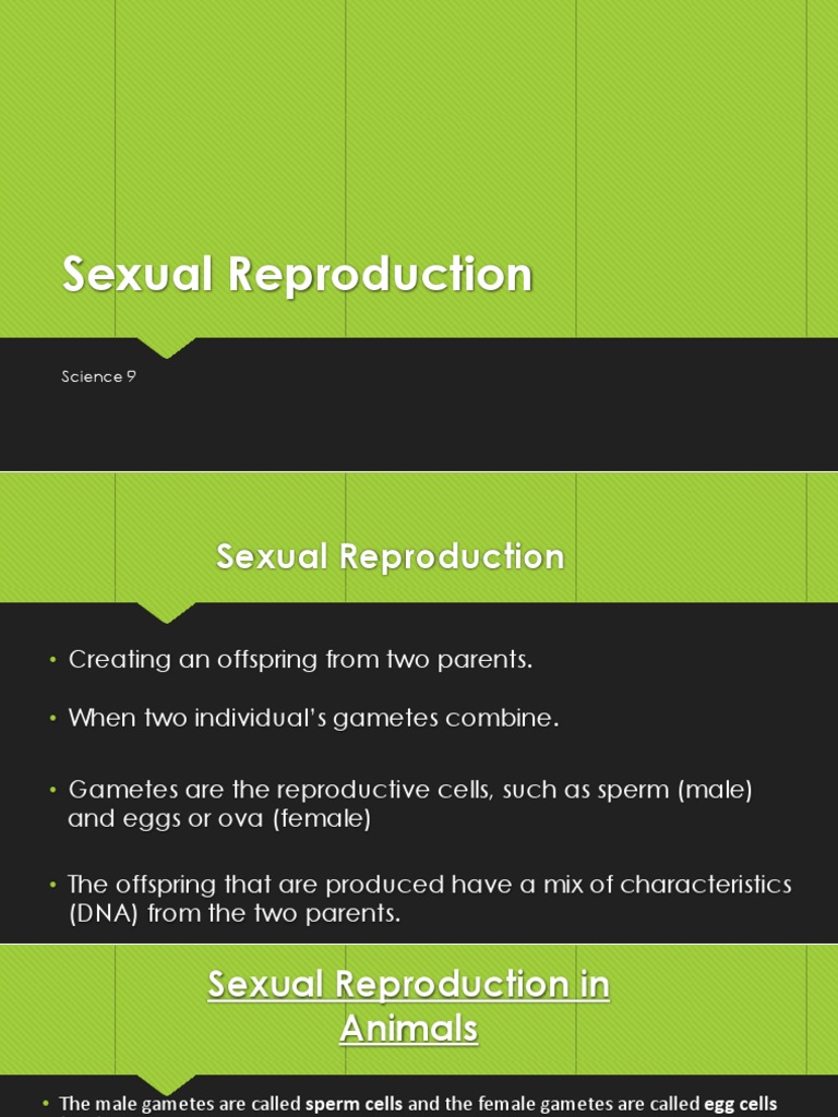 Sexual Reproduction | PDF | Sexual Reproduction | Fertilisation
