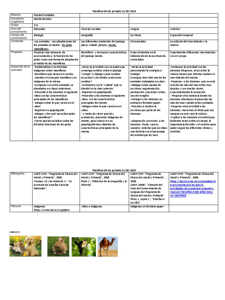 3 Actividades Historia, Lengua y Matemáticas | PDF | Mamíferos | Paisaje