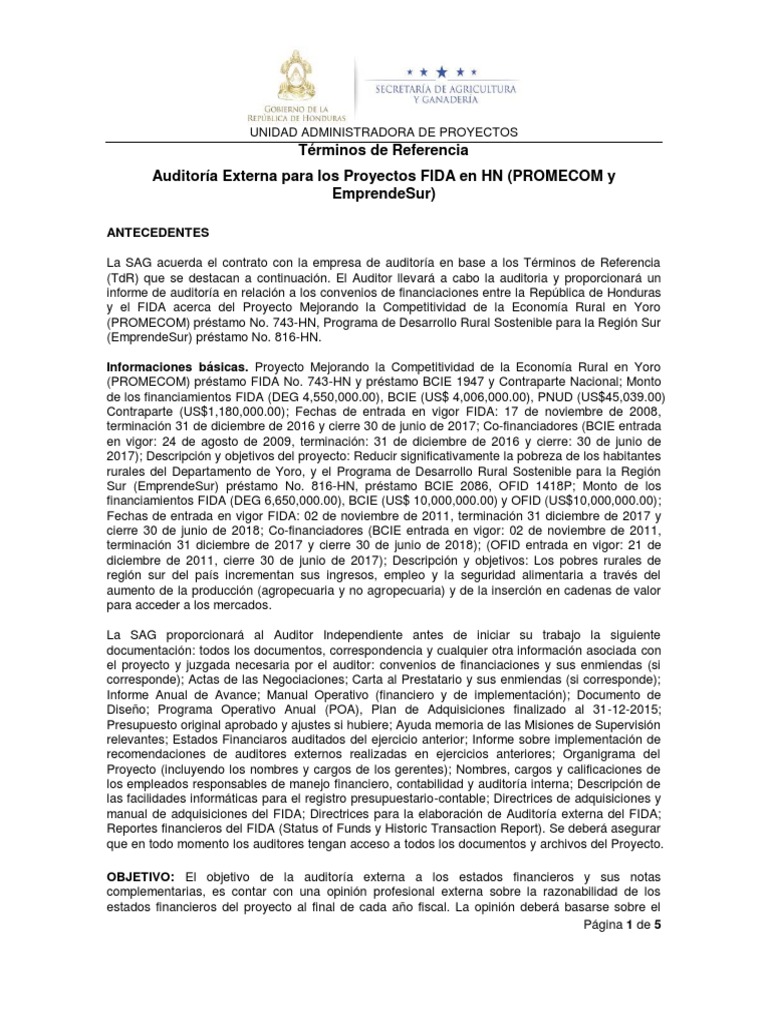 Términos De Referencia Auditoría Externa Para Los Proyectos Fida En Hn ...