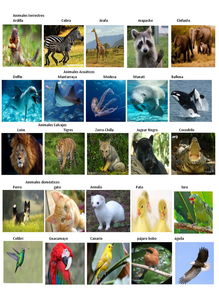 Lista de animales terrestres y sus nombres | PDF