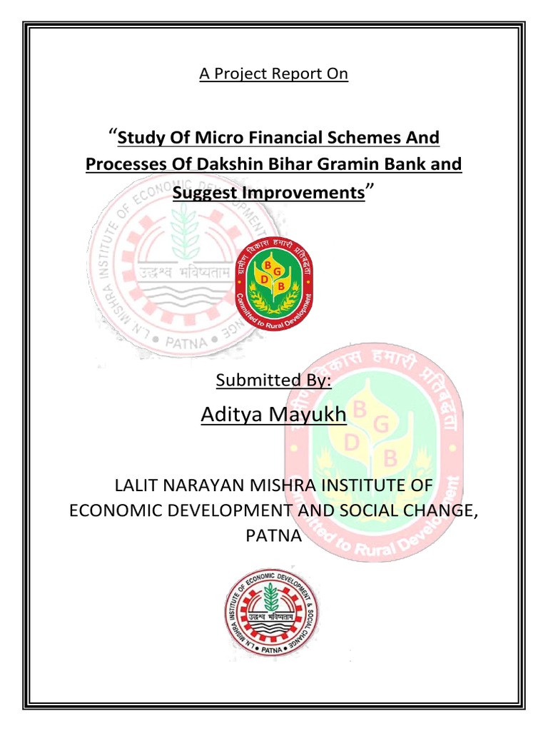 Aditya Project Work 2 | PDF | Microfinance | Poverty