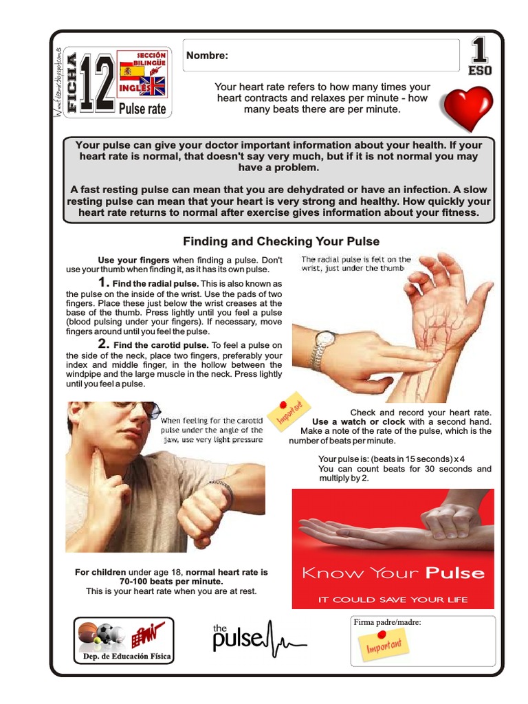 Ficha 12 - Pulse Rate | PDF | Pulse | Heart Rate