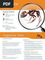 How To Identify Different Types of Idaho Ant Species & Control Them | PDF | Ant | Apocrita