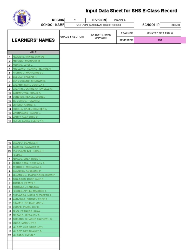Input Data Sheet For SHS E-Class Record: Learners' Names | PDF | Domestic Policy | Education Policy