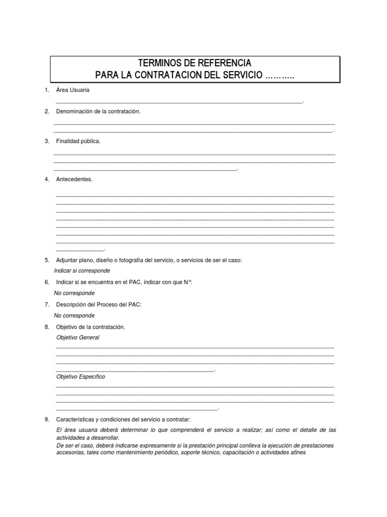 TDR Formato Estructura Recomendada | PDF | Business