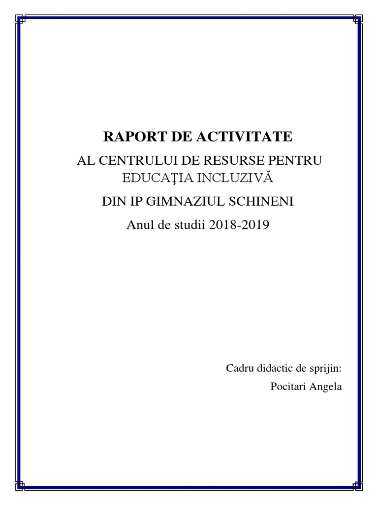 Raport de Activitate | PDF