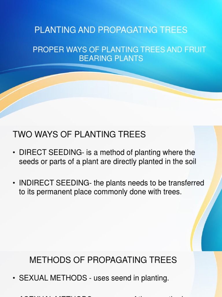 Planting and Propagating Trees (Methods) | PDF | Plant Morphology | Botany