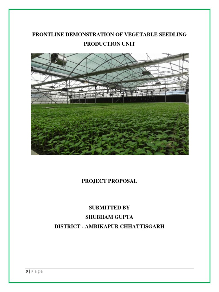 Vegetable Seedling Production Proposal | PDF | Vegetables | Eggplant