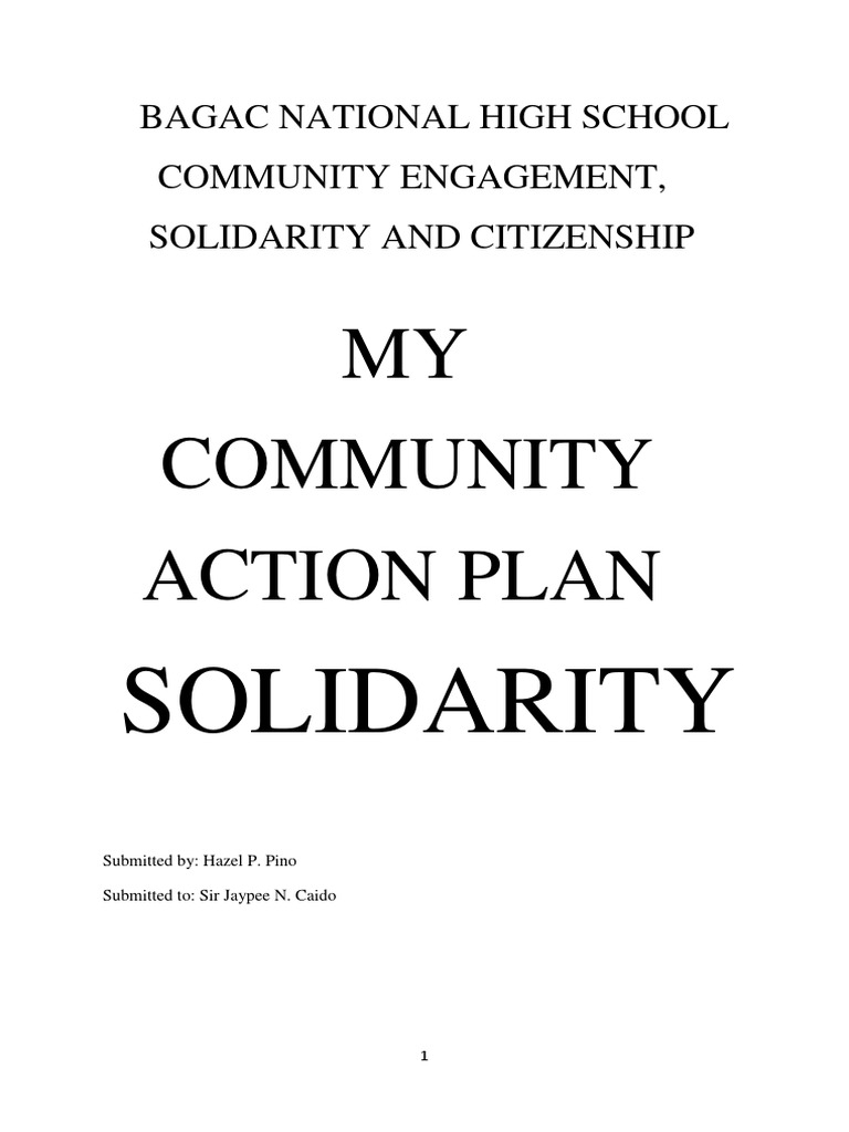 My Community Action Plan | PDF
