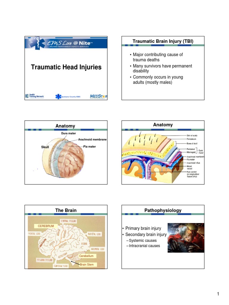 Traumatic Head Injuries Handout | PDF | Traumatic Brain Injury | Human ...