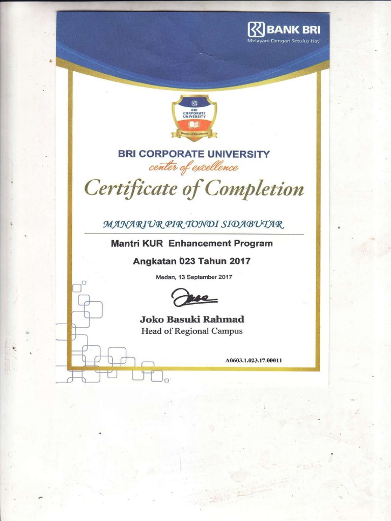 Certificate of Complement | PDF