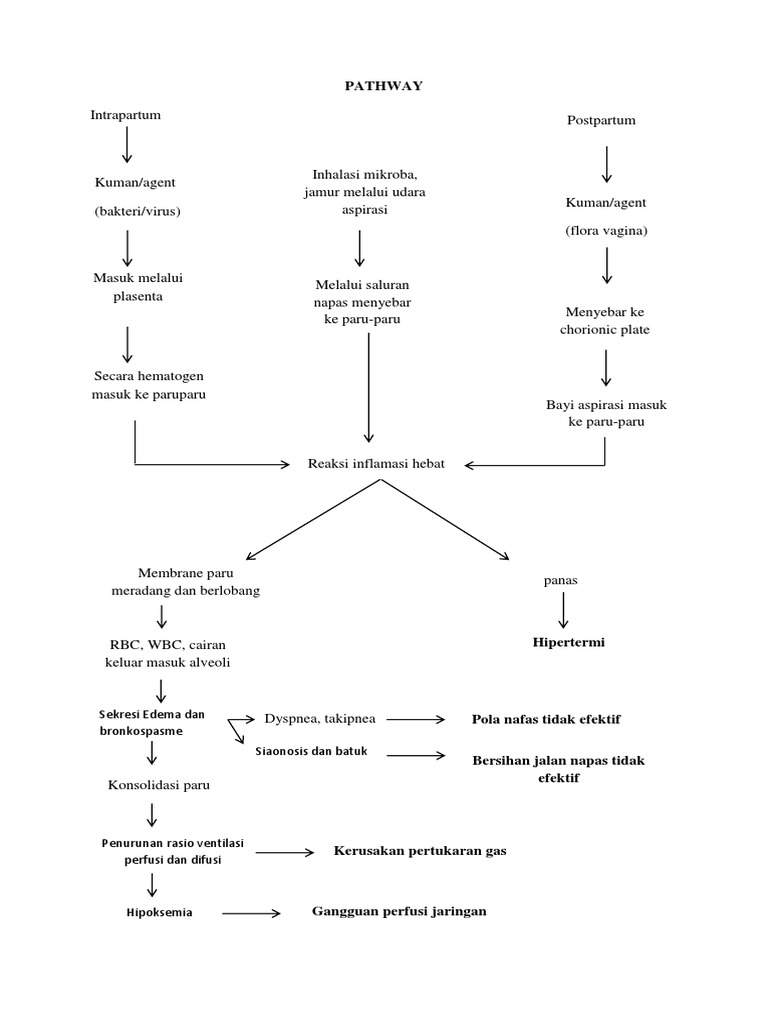 PATHWAY Pneumonia | PDF