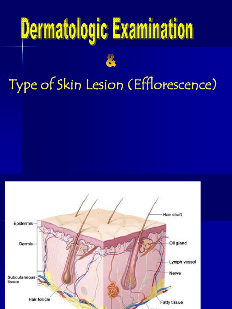 PENDAHULUAN - Efloresensi | PDF | Scar | Epidermis