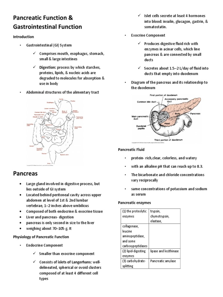 Pancreatic Function & Gastrointestinal Function | PDF | Pancreas ...