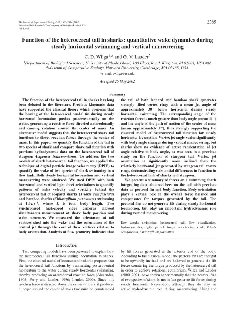 2365 Full | PDF | Vortices | Rotation Around A Fixed Axis